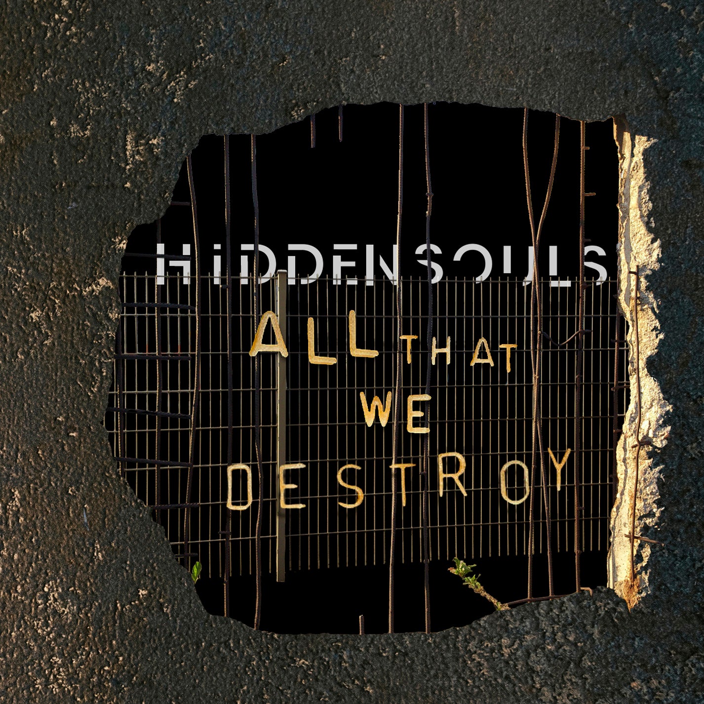 HIDDEN SOULS STORE